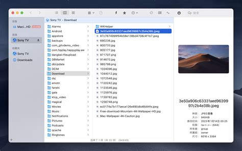 苹果电脑必备的 Ftp 文件传输工具mac Ftp工具 Csdn博客