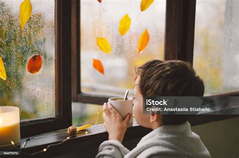 담요에 싸인 귀여운 소년이 뜨거운 차를 마시고 열린 창밖으로 멋진 가을 자연을 바라본다 10월에 대한 스톡 사진 및 기타 이미지