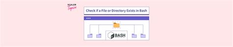 How To Check If A File Or Directory Exists In Bash Scaler Topics