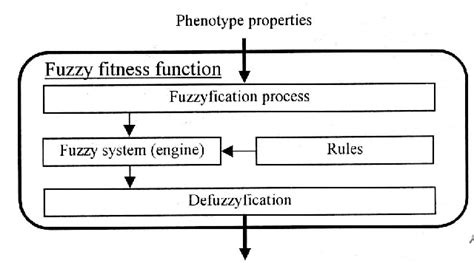 The Structure Of Fuzzy Rule System Download Scientific Diagram