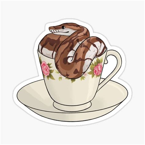 Spider Ball Python In A Teacup Sticker For Sale By Travelingwren
