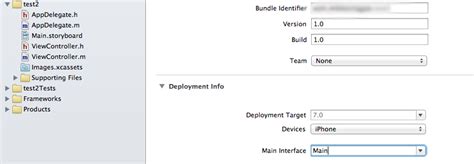 ios black screen after app startup stack overflow