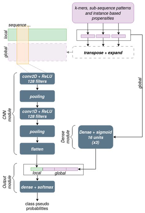 High Accuracy Ncrna Function Prediction Via Deep Learning Using Global