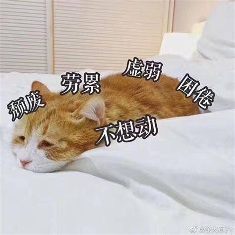 疲惫表情包 毁灭吧 累了表情包 伤感说说吧