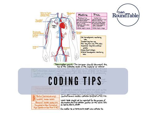 Picc Line Coding Cheat Sheet With Coding Tips Etsy