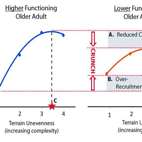 PDF Multimodal Imaging Of Brain Activity To Investigate Walking And Mobility Decline In Older