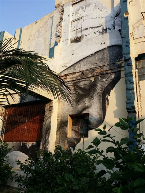 Gambar Pohon Arsitektur Rumah Bangunan Tengara Penglihatan Seni