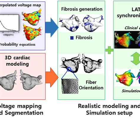 Pdf In Situ Procedure For High Efficiency Computational Modeling Of Atrial Fibrillation
