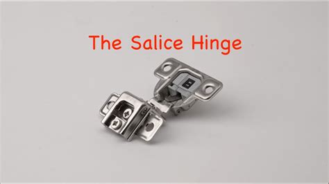 Salice Hinge Cad Drawing At Renea Lackey Blog