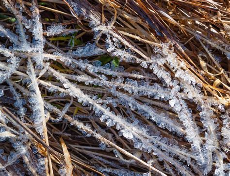 Frost On The Ground Stock Image Image Of Ground Closeup 16483653