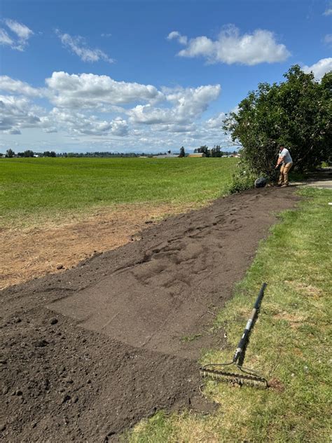 Hydrangea Hedge Process