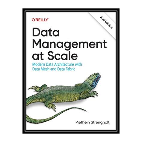 قیمت و خرید کتاب Data Management At Scale Modern Data Architecture