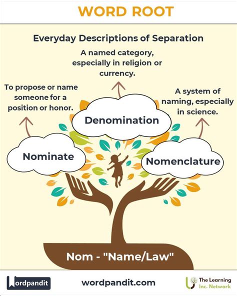 Word Root Nom Wordpandit