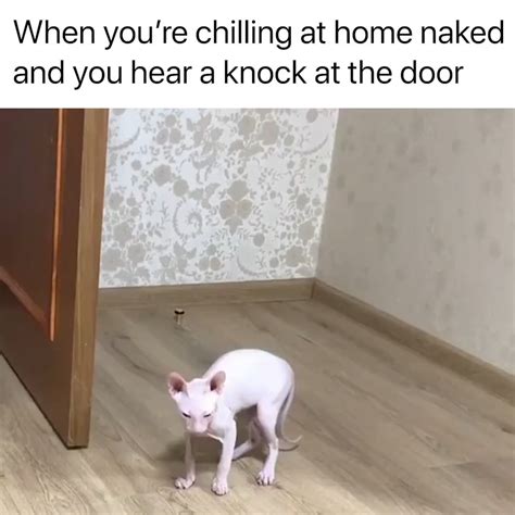 When Youre Chilling At Home Naked R Funny