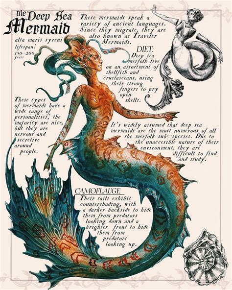 Hope Christofferson On Instagram “the Deep Sea Mermaid 🧜‍♀️ These Are The Most Myster