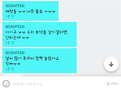 세븐틴♥캐럿 Band