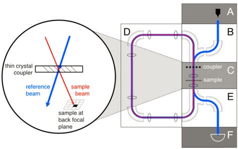 New Paper “designs For A Quantum Electron Microscope” Quantum