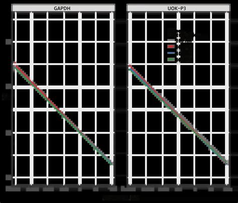 Probe Based Qpcr Steinbrenner Laborsysteme Gmbh