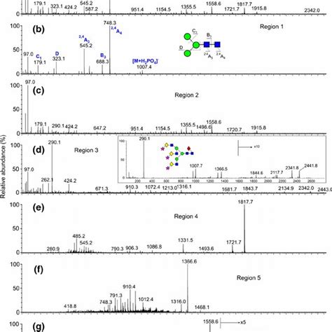 A Negative Ion Cid Spectrum Transfer Fragmentation Of The Ion At Download Scientific