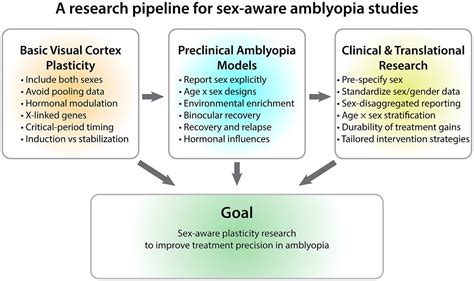 Frontiers Sex As A Biological Variable In Amblyopia Implications For
