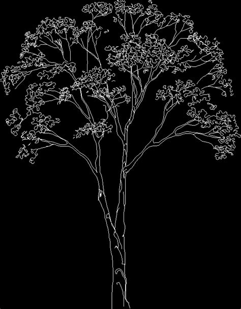 Tree DWG Block For AutoCAD Designs CAD