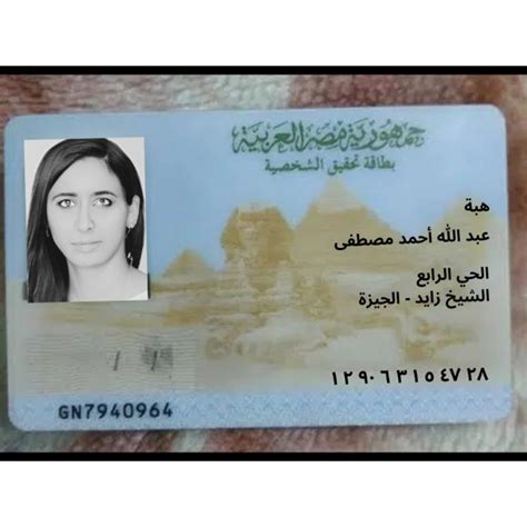 Egyptian Id Seg Instance Segmentation Model By Egyptianidextraction