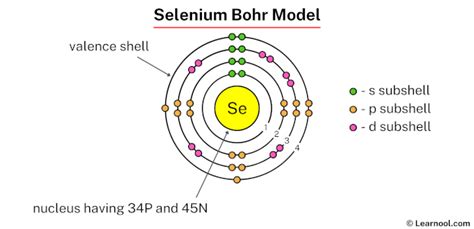 Selenium Bohr Model Learnool