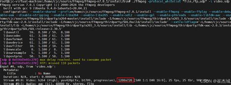 音视频入门基础：rtp专题（15）——ffmpeg源码中，获取rtp的视频信息的实现 ew帮帮网