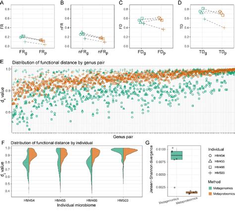 Redundancies Of Expressed Functions And Functional Potentials 2 A