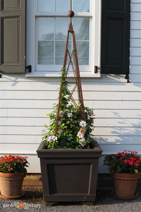 Container Garden Trellis