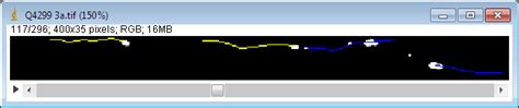 Particle Tracker Imagej Polizgeorgia