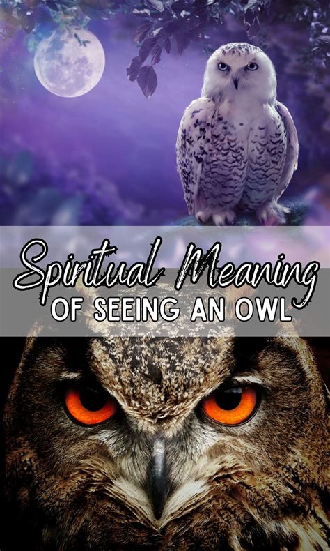 Symbolism Of Seeing An Owl What Does It Mean On Your Journey