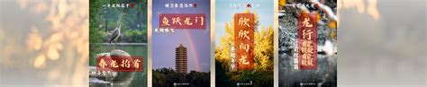 北京大学招生网