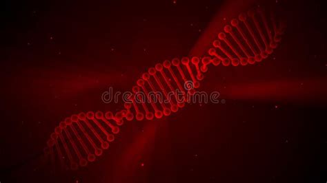 Rotating Dna Glowing Molecule On Dark Red Background 3d Rendered Loopable Animation Genetics