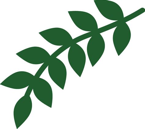 How To Draw A Leaf In Python