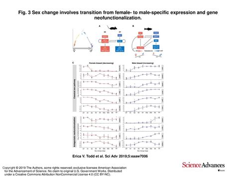 Fig 3 Sex Change Involves Transition From Female To Male Specific Expression And Gene