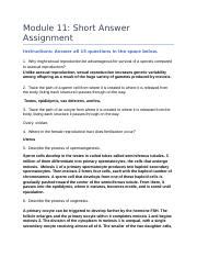 Anissamcghee Mod Assignment Docx Module Short Answer Assignment Instructions Answer All