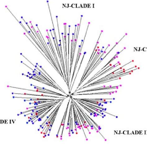 Clustering Of Selected Accessions Using Neighbour Joining Method And Download Scientific