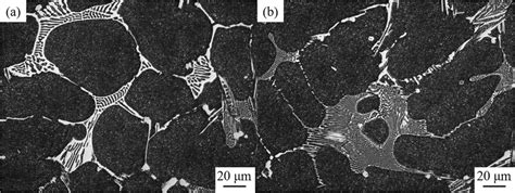 sem micrograph of the as cast microstructure of a m42 and b m42 n