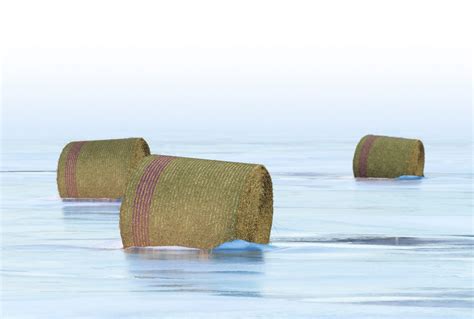 Starnet Committed Ag