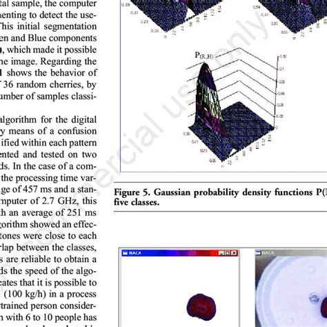Typical Sample Of Segmentation Displayed By The Computer Code