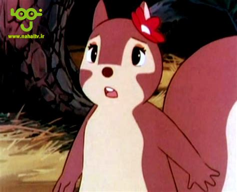 بنر سنجاب کوچولو شبکه نهال