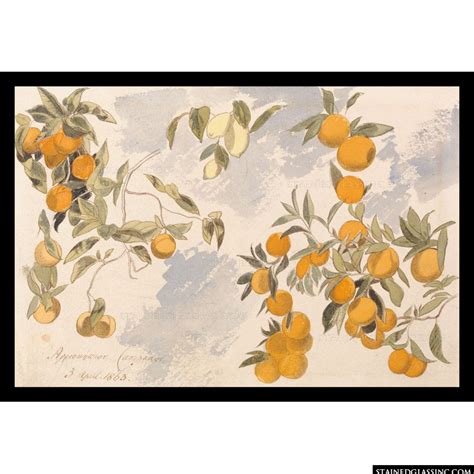 Fruit Trees By Edward Lear Stained Glass Window