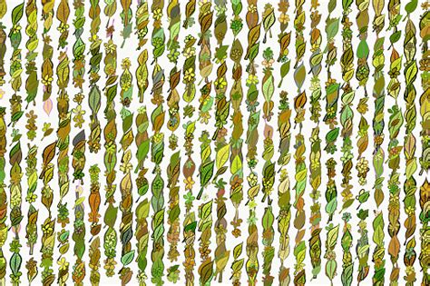 그래픽 디자인에 대 한 그려진된 잎 및 꽃 일러스트 배경 좋은 손 세부 사항 스케치 설정 더러 워입니다 0명에 대한 스톡 벡터 아트 및 기타 이미지 Istock