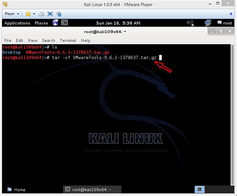 How To Install VMware Tools In Kali Linux Pentestingshop