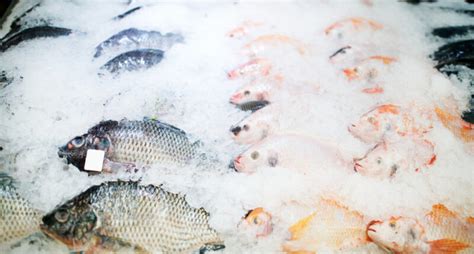 What Is The Difference Between Path And Way Difference Digest