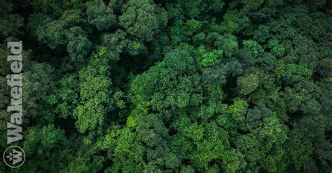 Carbon Sequestration With Biochar Wakefield Biochar