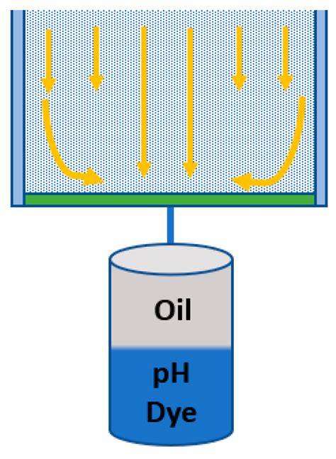 Co2 Convective Dissolution In Oil Saturated Unconsolidated Porous Media