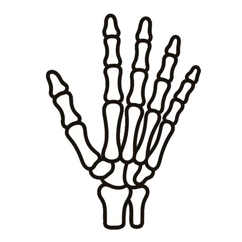 Skeleton Hand Drawing Step By Step