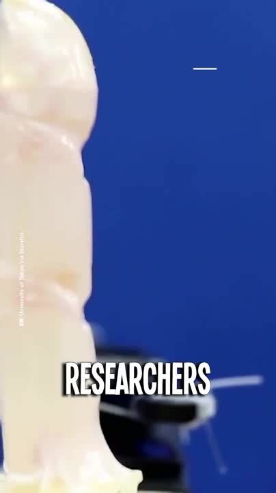 Pulidindi Prajun Posted On Linkedin